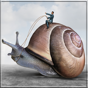 Die processie van Echternach lijkt op besturen in Dordt… – KEES THIES